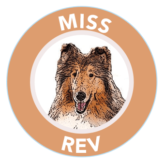 Ivy.ai | Chatbots for Higher Education | Recruit. Engage. Retain.