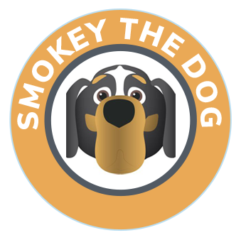 Ivy.ai | Chatbots for Higher Education | Recruit. Engage. Retain.